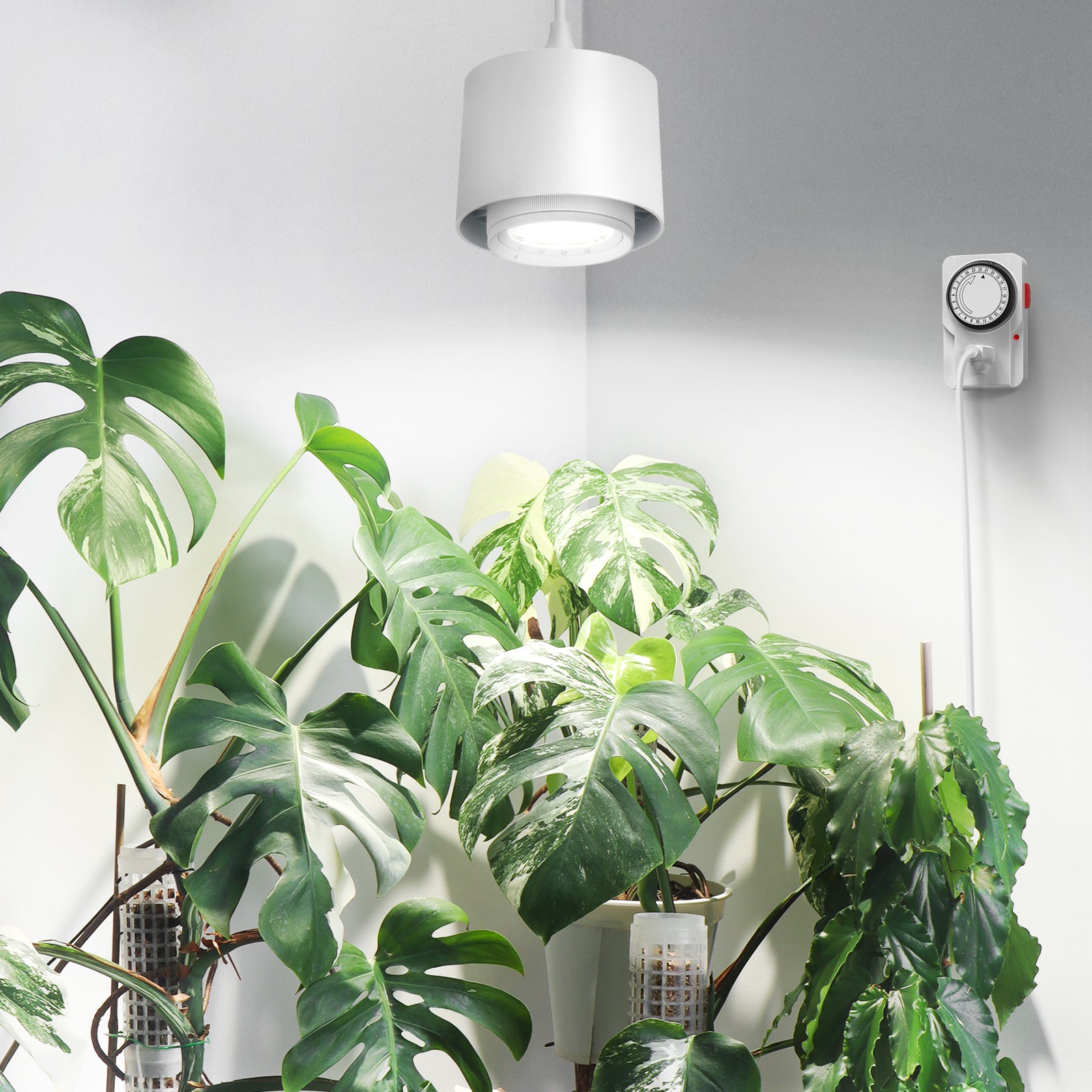 Barrina TR40 40W LED Grow Lights 5000K | Full Spectrum, Hanging & Time