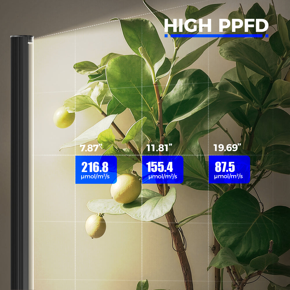 LED Grow Lights - Barrina