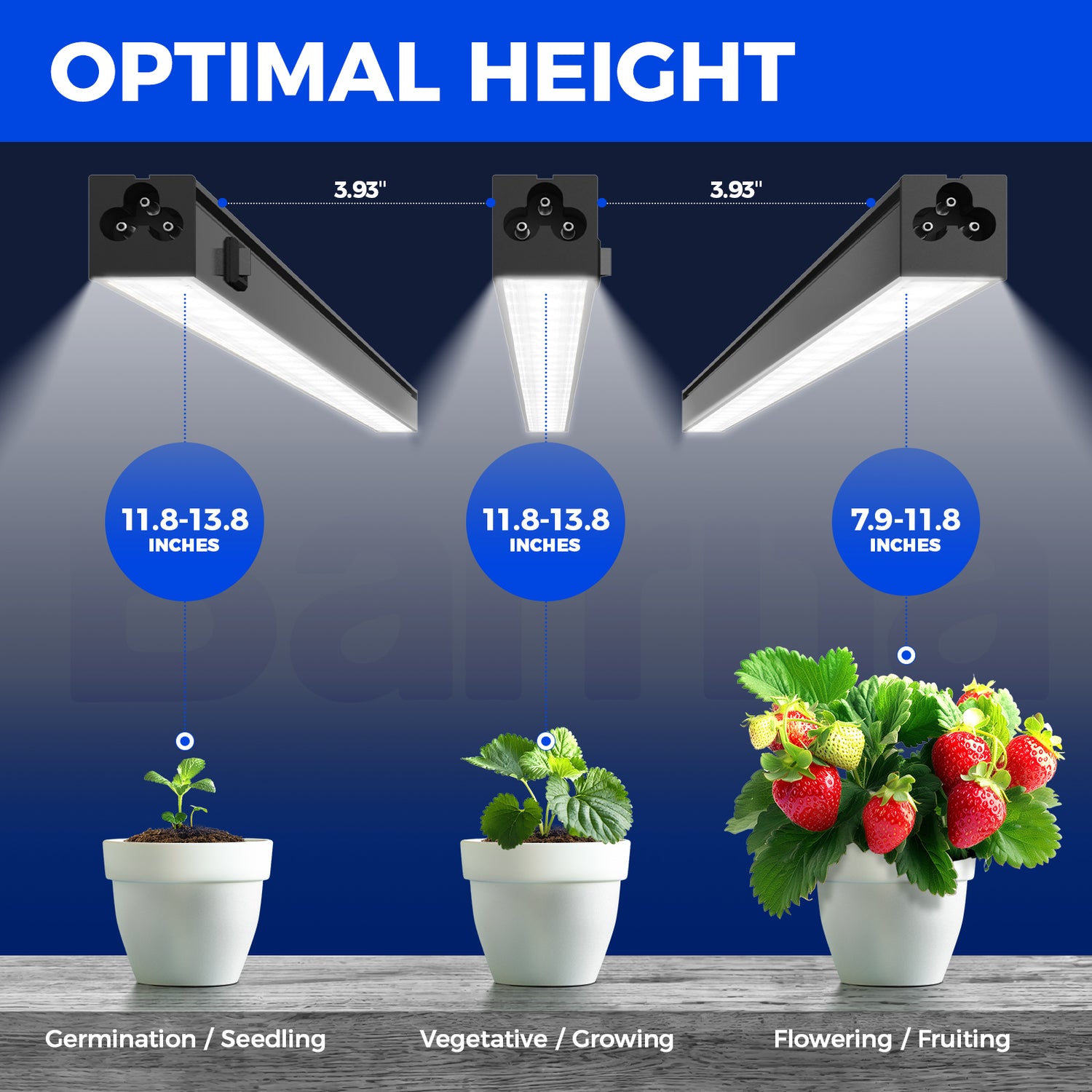 Barrina T5 5W LED Grow Lights 1FT 5000K | LED Grow Light Strips