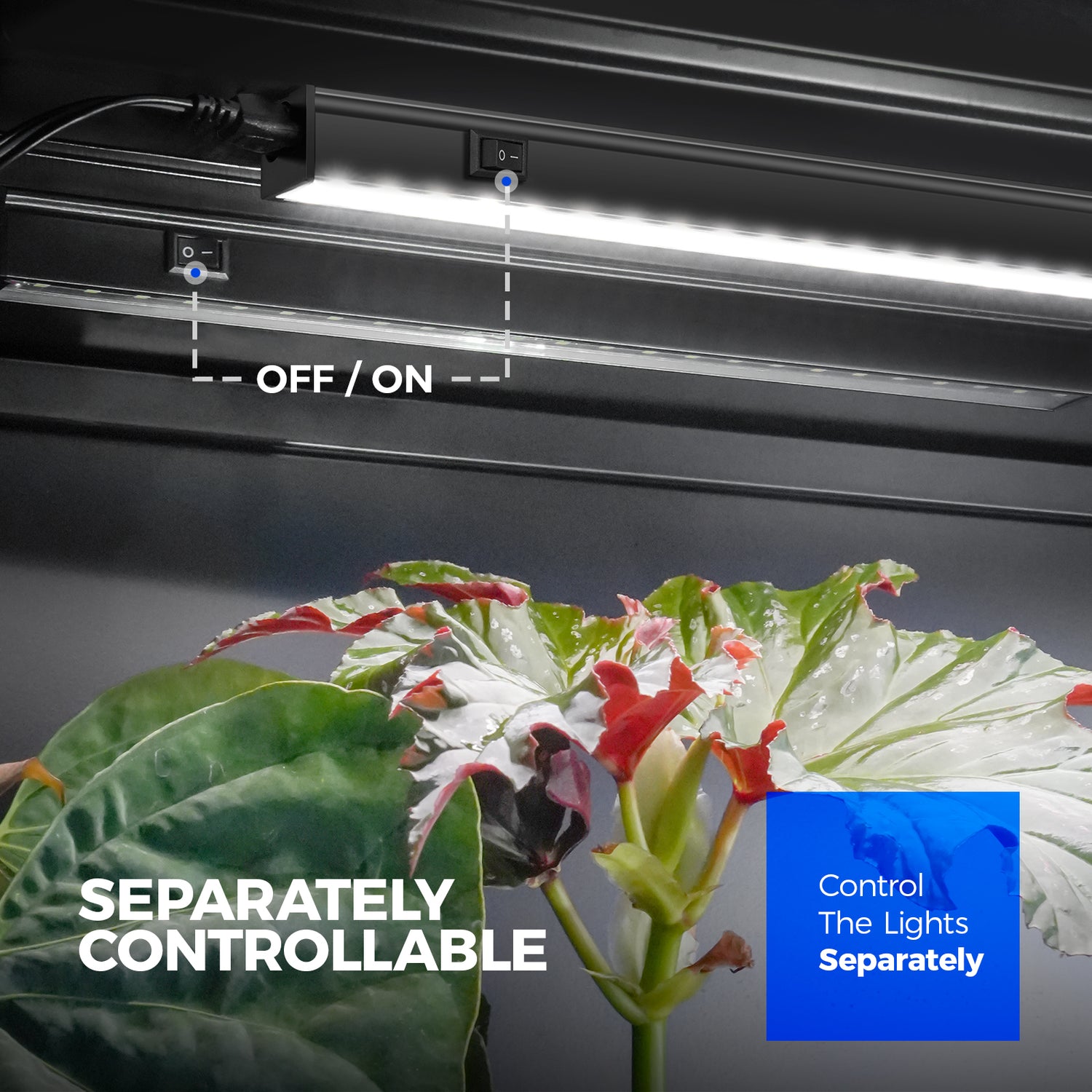 Barrina T5 5W LED Grow Lights 1FT 5000K | LED Grow Light Strips